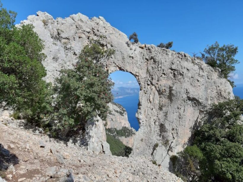 From Baunei: Cala Mariolu Hiking Tour - The Cost and Value