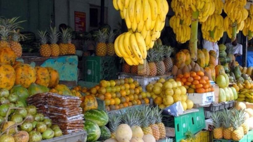 From Bávaro: Higüey Tour with Ranch Horse Ride and Lunch - Final Thoughts: Who Will Enjoy This Tour?