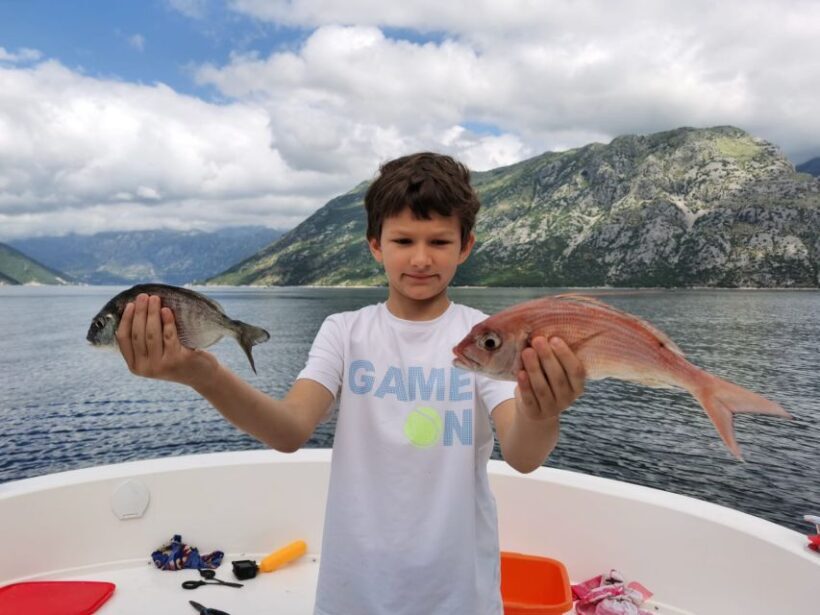 From Bay of Kotor: Blue Cave Private Speedboat Tour - Final thoughts: Is this tour right for you?