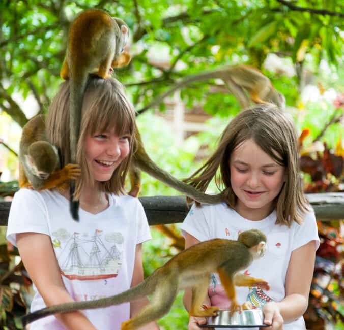 From Bayahibe: Half Day Monkeyland Safari - Key Points