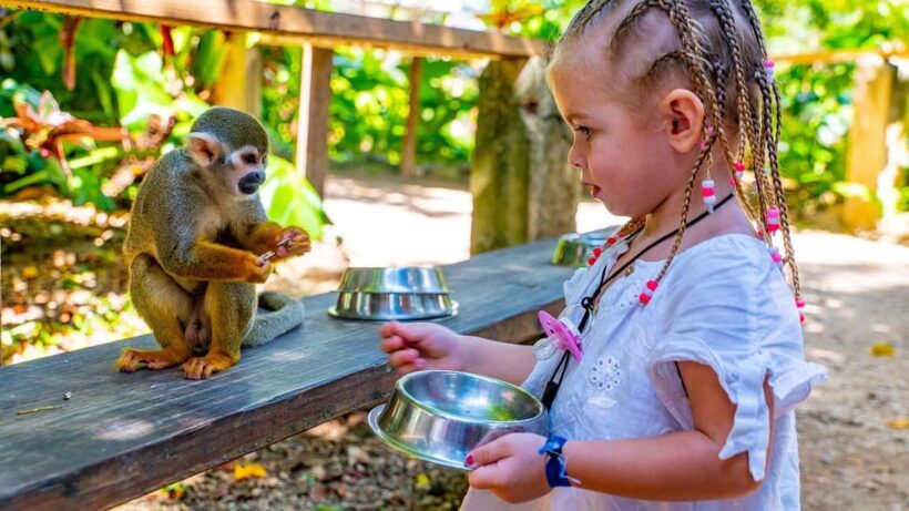 From Bayahibe: Half Day Monkeyland Safari - An Authentic Adventure in the Dominican Republic