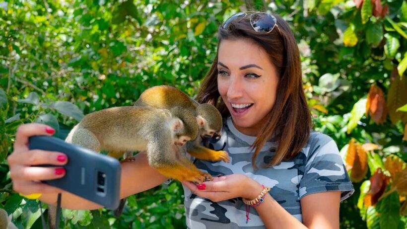 From Bayahibe: Half Day Monkeyland Safari - Who Will Love This Tour?
