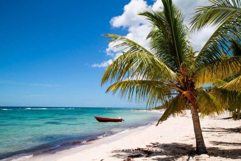 From Bayahibe: Saona Island Beach and Sunset Catamaran Party - Authenticity and Cultural Insights