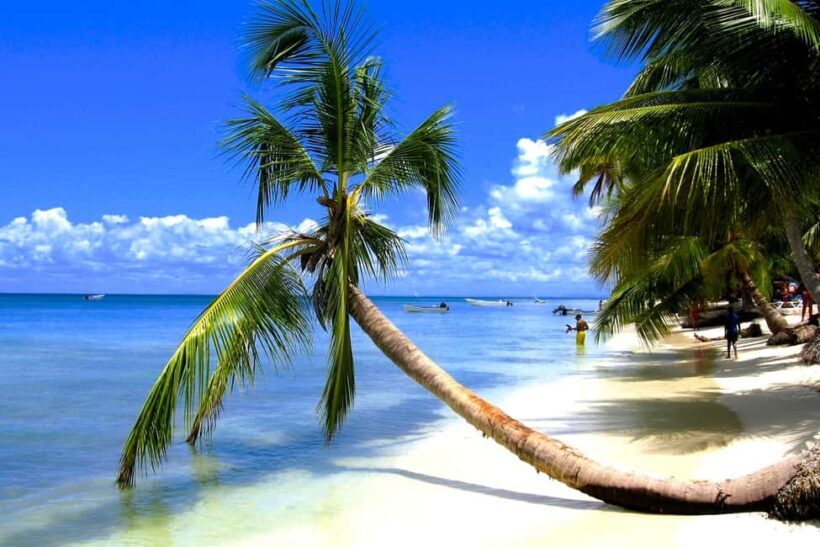 From Bayahibe: Saona Island, Open Bar, Speedboat & Lunch - FAQ