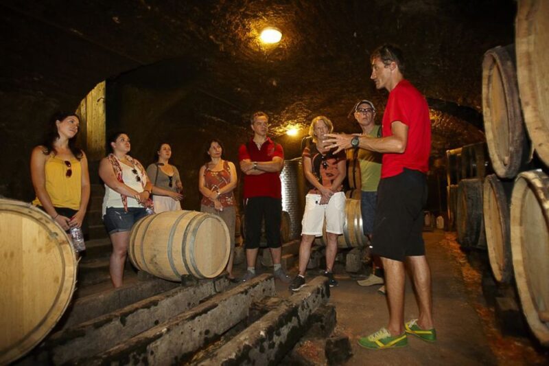 From Beaune: Full-Day Bicycle and Wine Tour in Burgundy - What Makes This Tour Stand Out