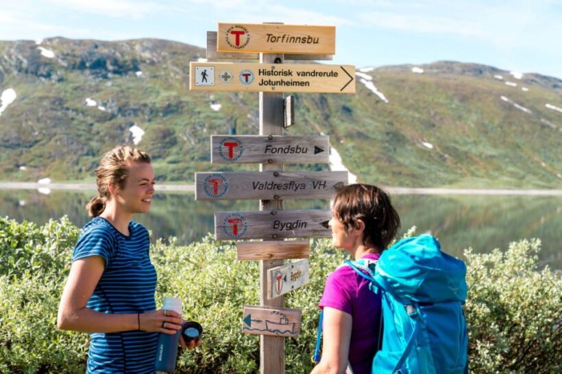 From Beitostolen: Svartdalen a Day in Jotunheimen Tour - Exploring the Itinerary: From Beitostølen to Jotunheimen