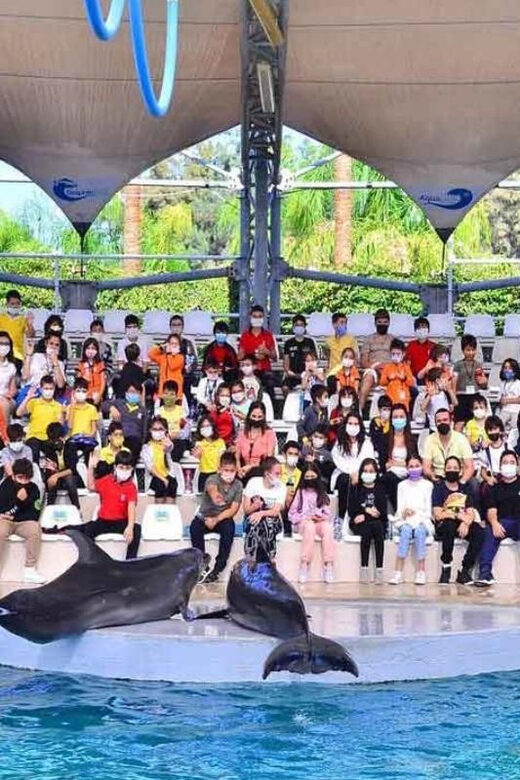 From Belek: Dolphin Show with Transfers - Who Will Love This Tour?