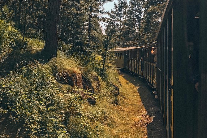 From Belgrade: Best of West (Drina House, Drvengrad & Sargan 8) - Seasonal Adjustments