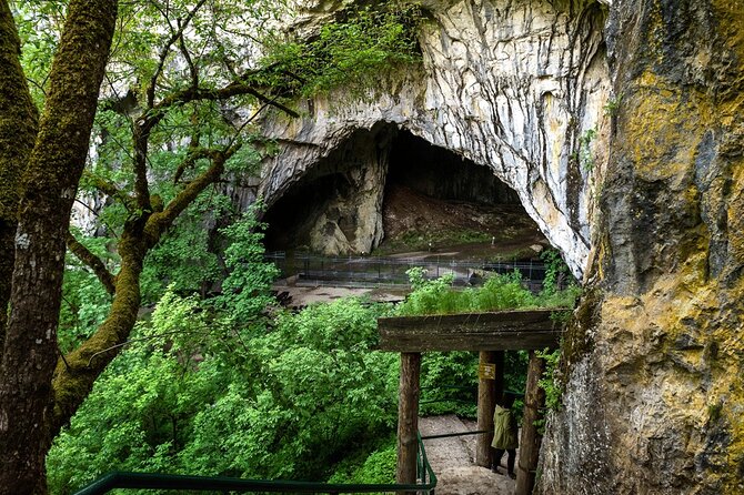 From Belgrade: Full day trip to Zlatibor Mountain - Who Is This Tour Best For?
