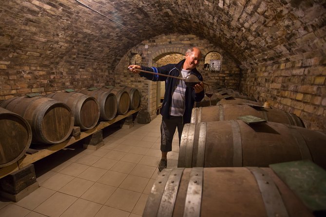 From Belgrade: Novi Sad and Karlovci Tour Review - Indulging in Sremski Karlovci Wine Tasting