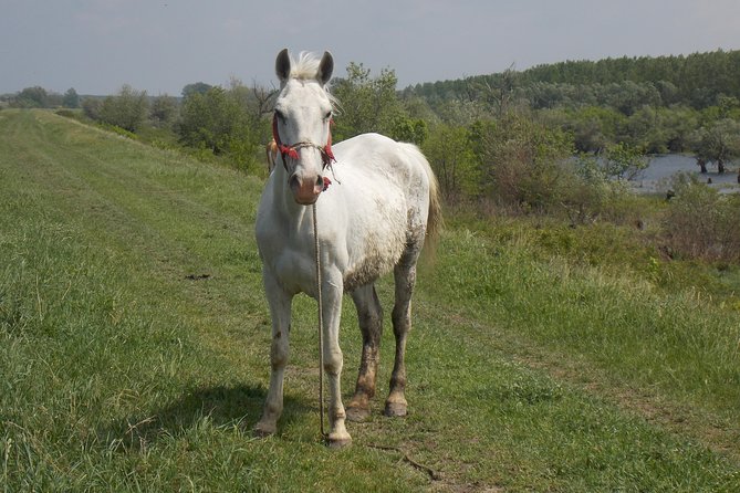 From Belgrade to Panevo - into the wild - What to Expect During the Tour