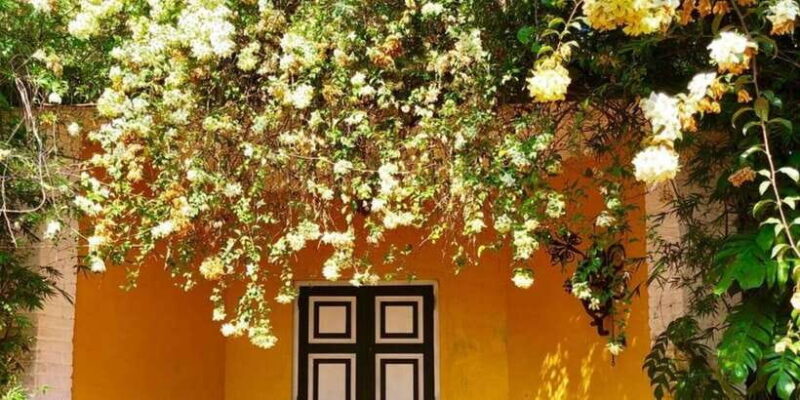 From Bentota/Beruwala: Lunuganga & Brief Garden Marvels Tour - What to Expect and Practical Tips