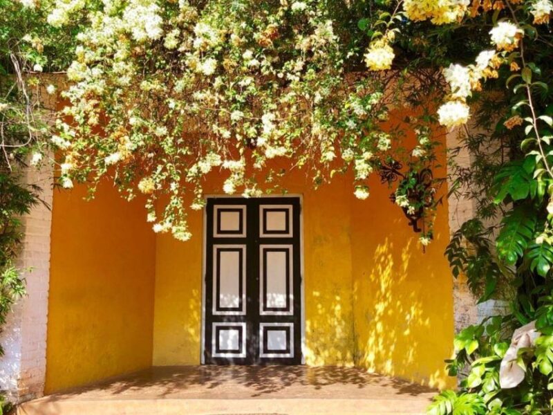 From Bentota/Beruwala: Lunuganga & Brief Garden Marvels Tour - Who Would Love This Tour?