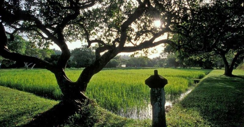 From Bentota/Beruwala: Lunuganga & Brief Garden Marvels Tour - FAQ