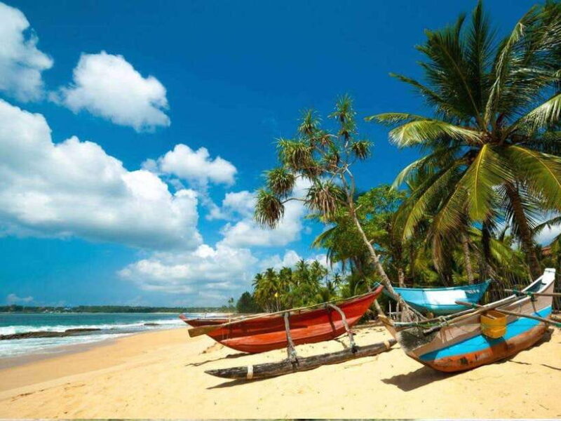 From Bentota/ Beruwala: Scenic Countryside Cycling Adventure - Who Would Enjoy This Tour?