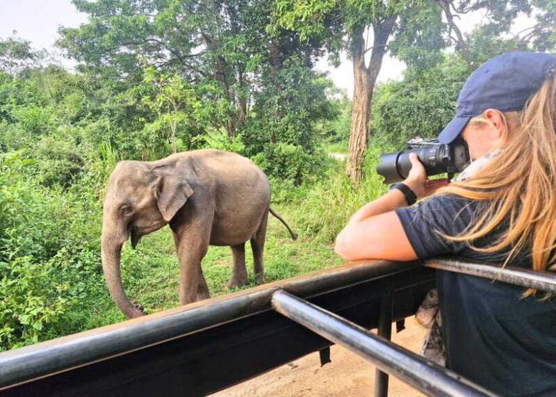 From Bentota: Elephant Transit Camp and Udawalawe Safari - Final Thoughts: Is It Worth It?