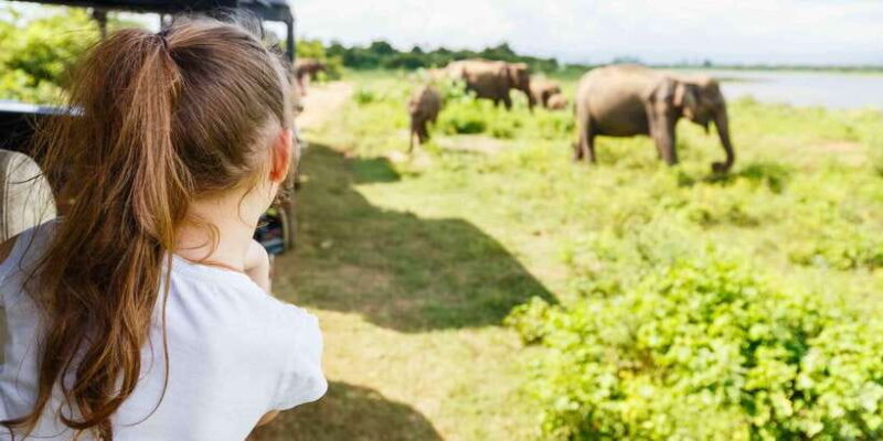 From Bentota: Full-Day Yala National Park Safari Tour - The Experience Provider and Booking Details