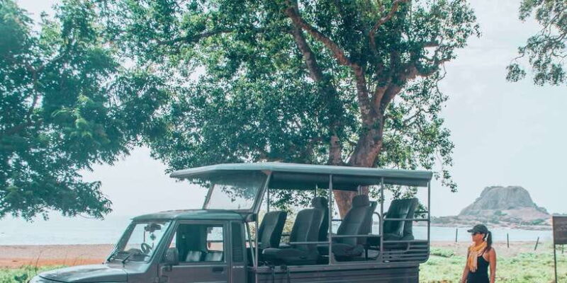 From Bentota: Full-Day Yala National Park Safari Tour - Who Will Love This Tour?