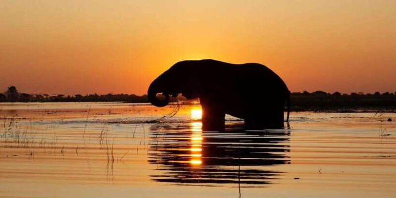 From Bentota /Kalutara : Yala National Park Safari Jeep Tour - Key Points