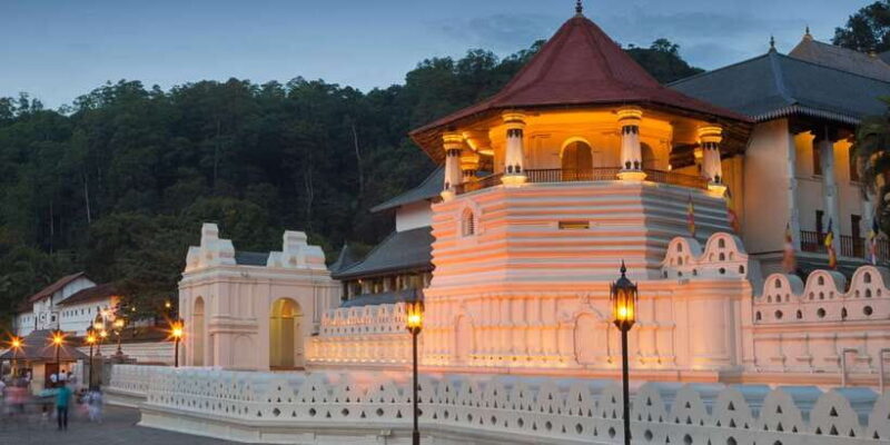 From Bentota: Kandy Tour with Tooth Temple & Gardens Visit - What Travelers Say