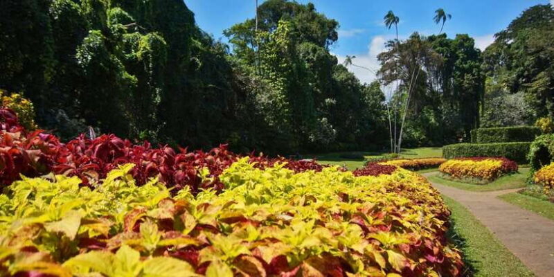From Bentota: Kandy Tour with Tooth Temple & Gardens Visit - Who Will Enjoy This Tour?