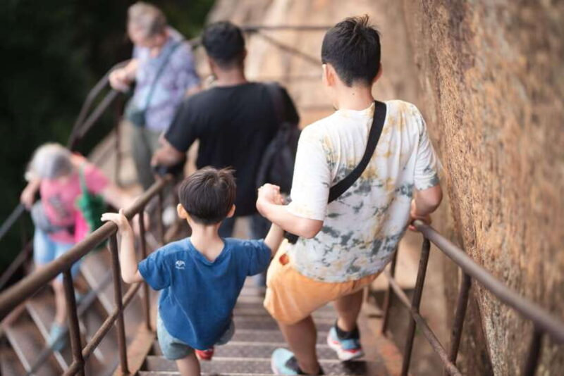 From Bentota: Sigiriya and Dambulla Day Trip and Safari - Practicalities and Logistics