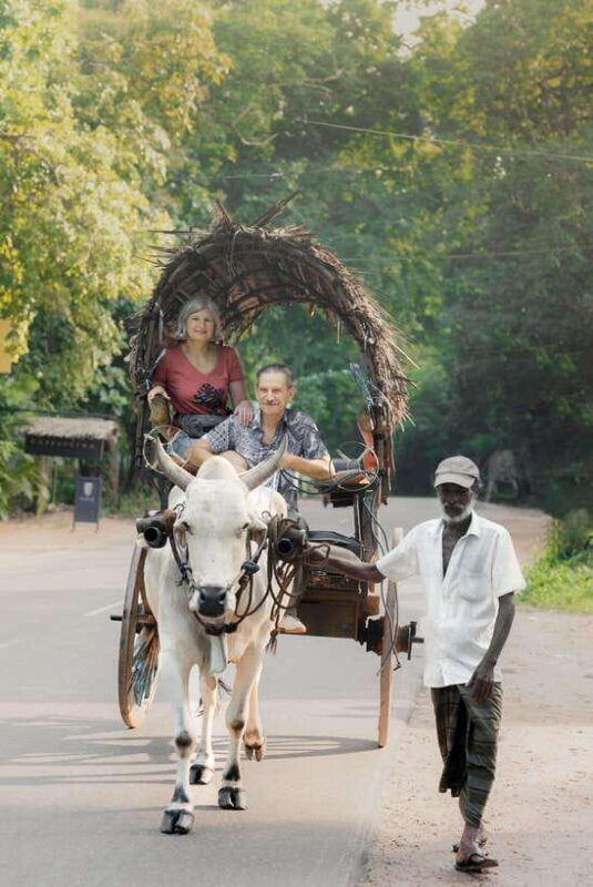 From Bentota: Sigiriya and Dambulla Day Trip and Safari - The Value of This Tour