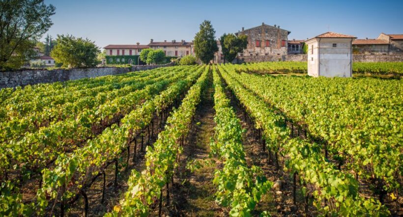 From Bergamo: Winery Tour in Franciacorta with Lunch - Introduction