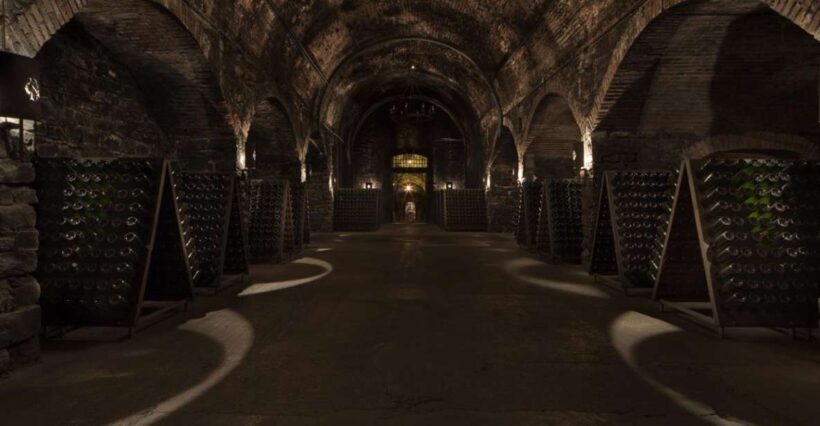 From Bergamo: Winery Tour in Franciacorta with Lunch - Key Points