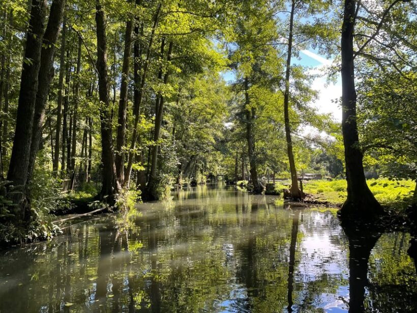 From Berlin to the Fairy-Tale Forest of the Spree River - The Sum Up: Is It Worth It?