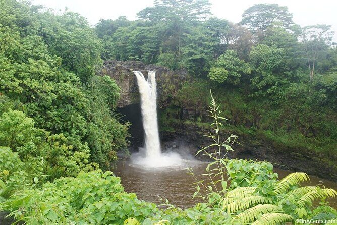 From Big island Hilo Private Volcanoes and Waterfalls Tour - FAQ