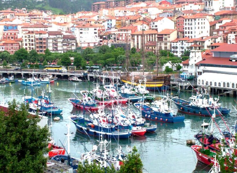 From Bilbao: Gaztelugatxe, Bermeo and Gernika Day Trip - Who Will Love This Tour?