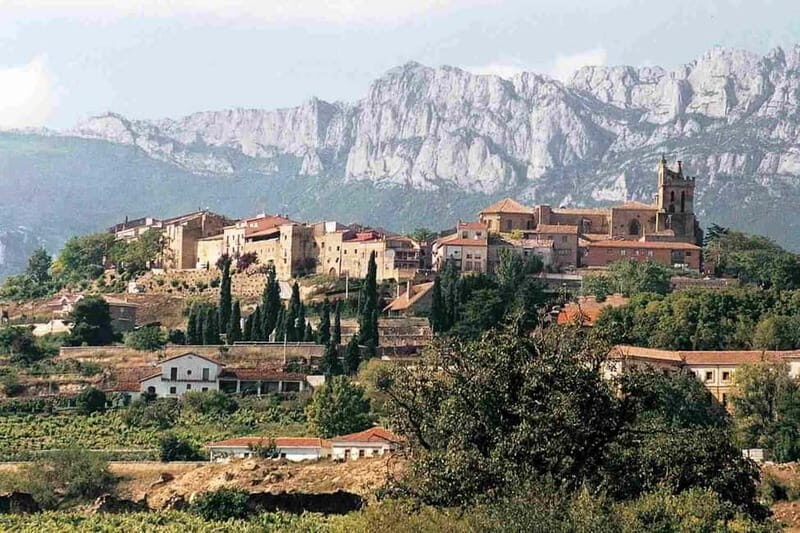 From Bilbao: La Rioja Wineries Day Trip with Wine Tastings - Analyzing the Value & Practicality