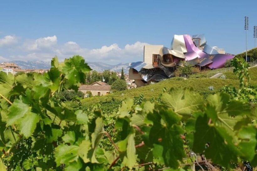 From Bilbao: Rioja Architecture and Wine Tour - A Deep Dive into the Tour Experience