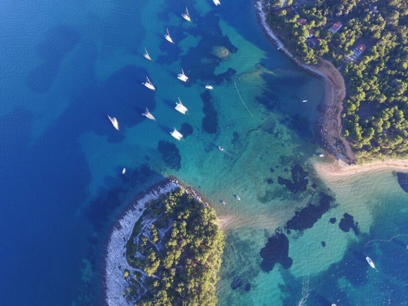 From Biograd: Golden Island of Vrgada Trip with Lunch - An In-Depth Look at the Vrgada Island Day Trip