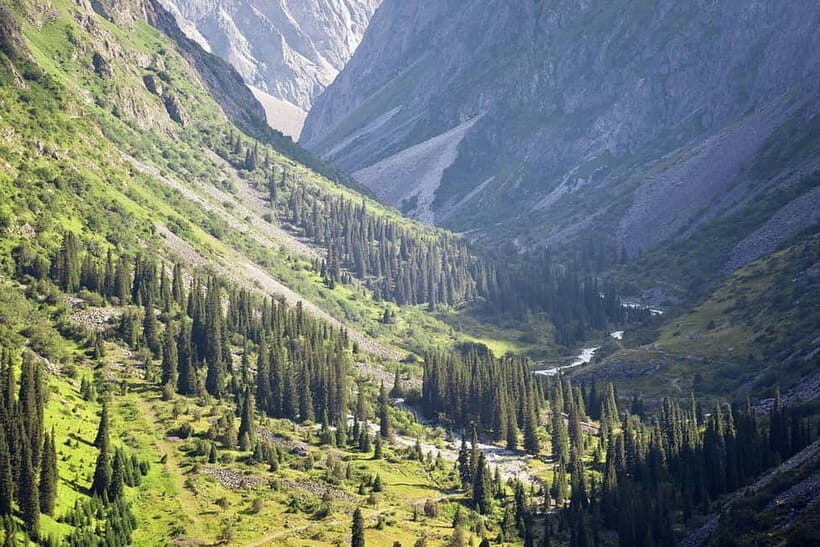 From Bishkek: Half-Day Excursion to Ala-Archa National Park - Key Points