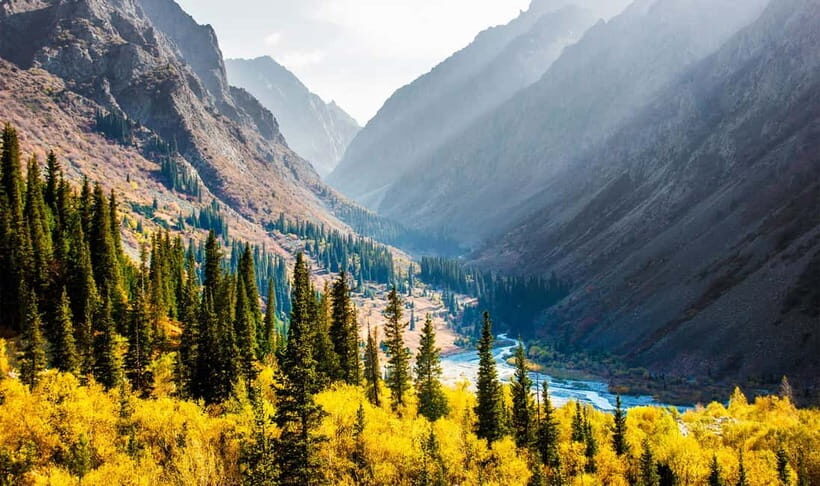 From Bishkek: Half-Day Excursion to Ala-Archa National Park - What to Expect During the Tour