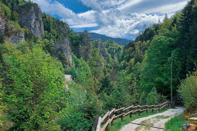 From Bled: Crystal River Hike - Final Thoughts