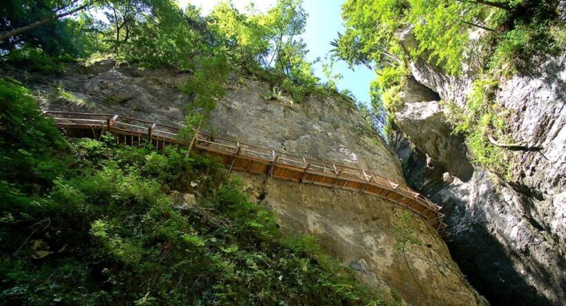 From Bled: Half-Day Pokljuka Gorge Trail Hike - Exploring the Half-Day Pokljuka Gorge Trail Hike from Bled