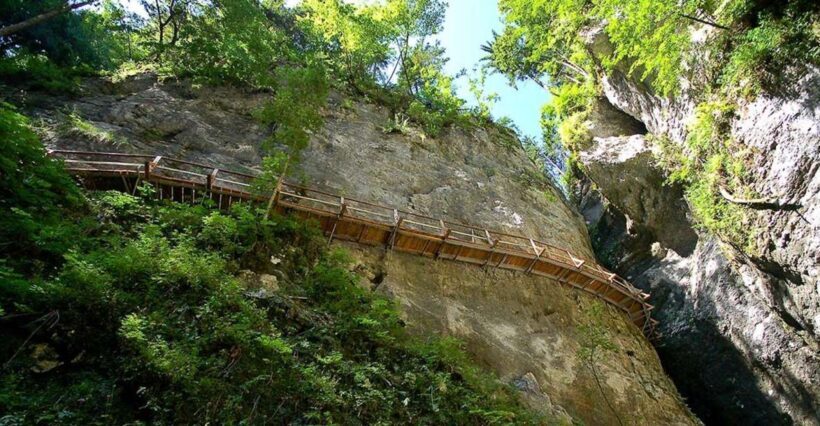 From Bled: Half-Day Pokljuka Gorge Trail Hike - Key Points
