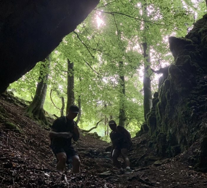 From Bled: Half-Day Pokljuka Gorge Trail Hike - Authentic Experiences from Fellow Travelers