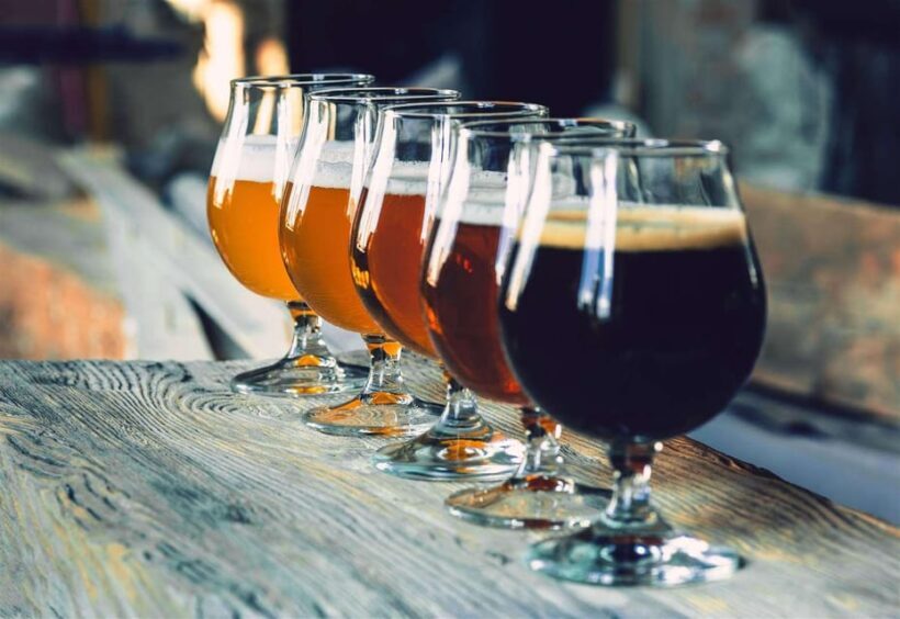 From Bled: Triglav National Park Day Trip - Who Should Consider This Tour?