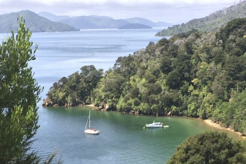 From Blenheim/Picton: Marlborough Gourmet Wine Tasting Tour - An In-Depth Look at the Marlborough Gourmet Wine Tasting Tour