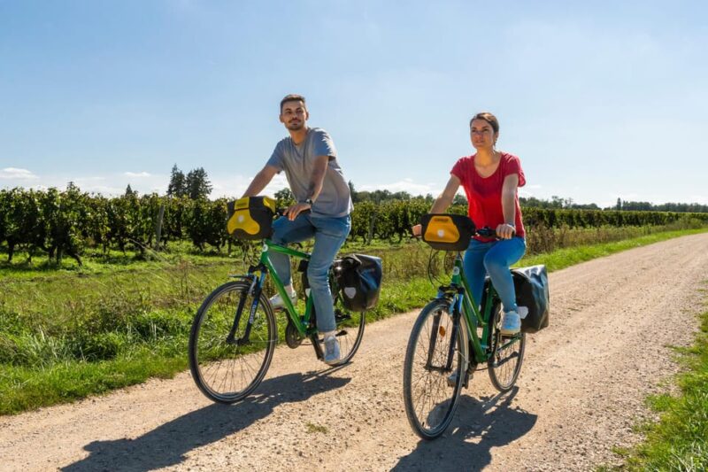 From Blois: Cheverny, Wine Tasting & Cycling - Why This Tour Works Well