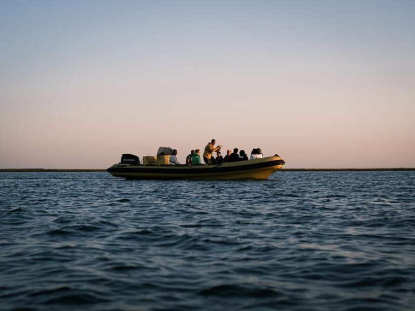 From Boat to Table: Ria Formosa Sunset and Tasting - The Itinerary in Detail