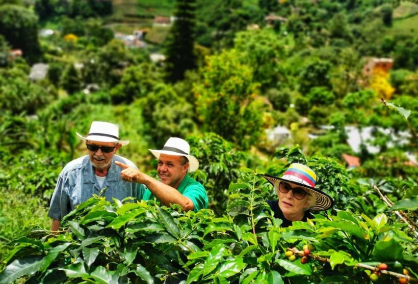 From Bogota: 5 hour guided coffe farm tour - All included - Key Points