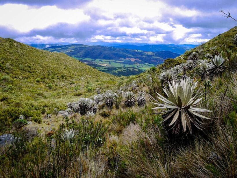 From Bogotá: Chingaza National Park Eco Tour - Practical Tips for Your Day Out