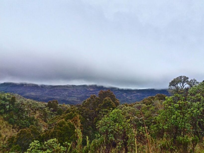 From Bogotá: Chingaza National Park Eco Tour - Who Should Consider This Tour?
