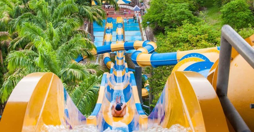 From Bogotá: Dive into Fun at Piscilago Water Park! - Food and Rest Breaks: Keep the Energy Up