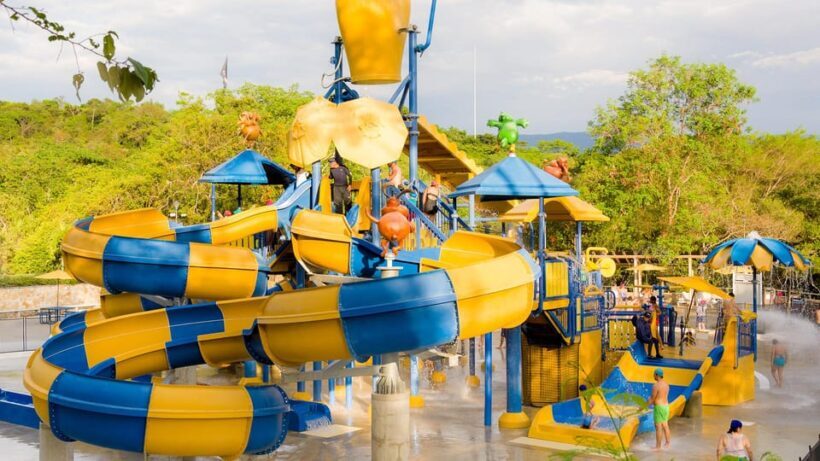 From Bogotá: Dive into Fun at Piscilago Water Park! - The Zoo: Wildlife Close-Up Encounters